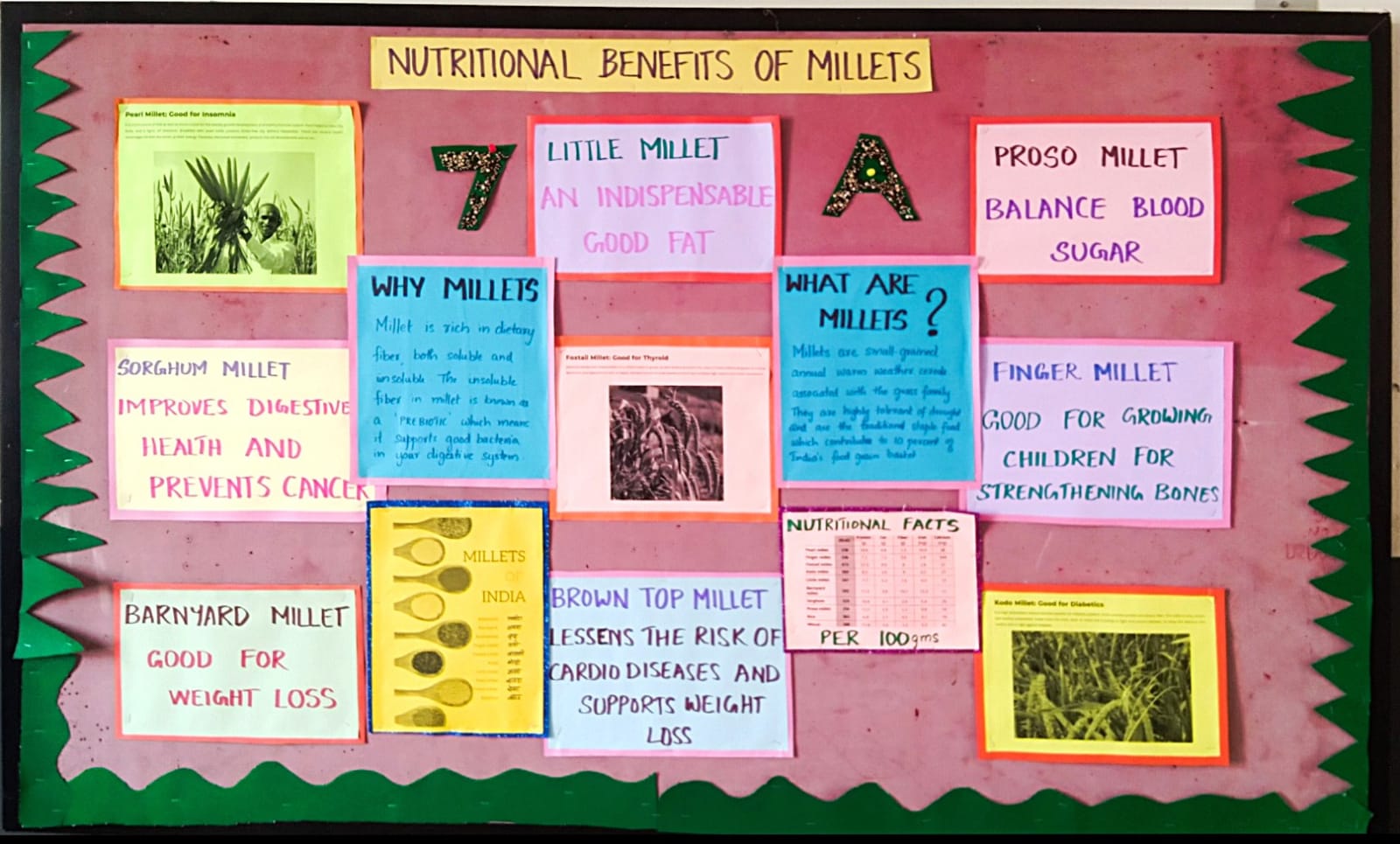 Notice Board